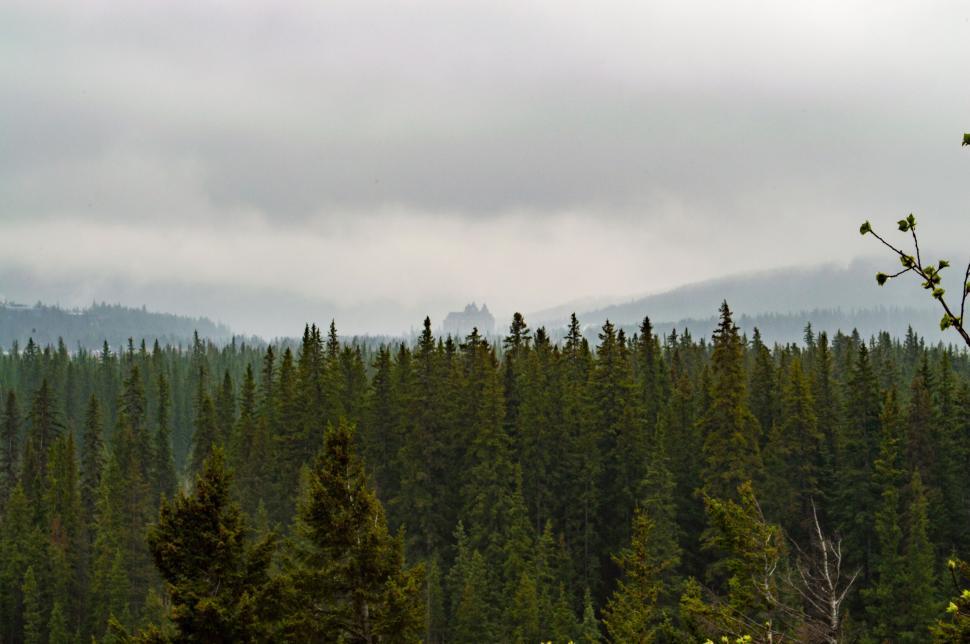 Free Stock Photo of Mist draped forests with mountains in the distant ...