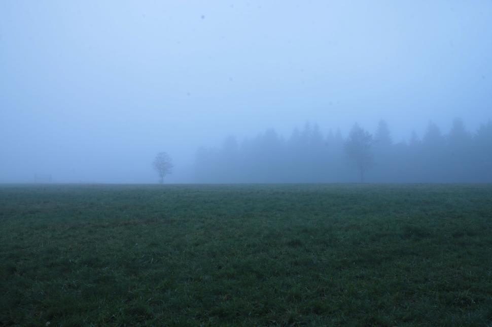 Free Stock Photo of Foggy morning in a field with distant trees barely ...
