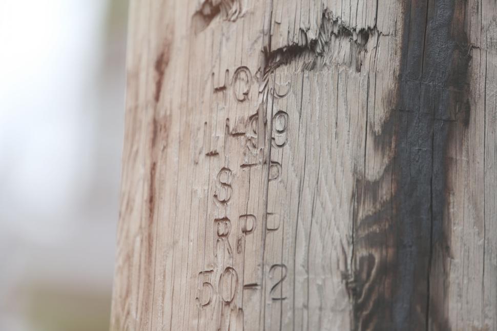 Free Stock Photo of Weathered wooden utility pole with numerous deeply ...