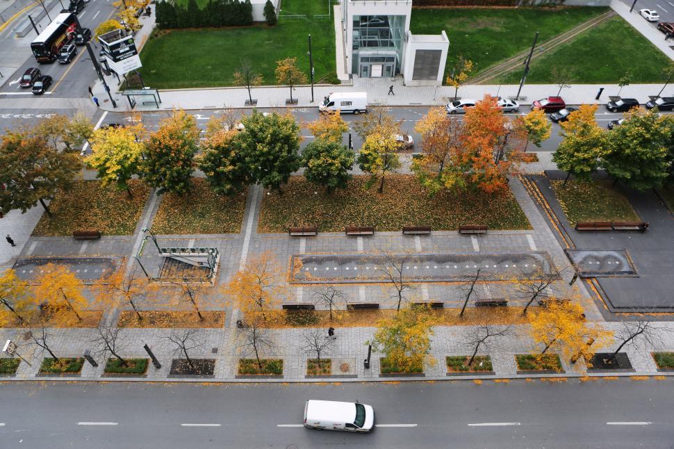 Free Stock Photo of Aerial view of a street with autumn trees and ...