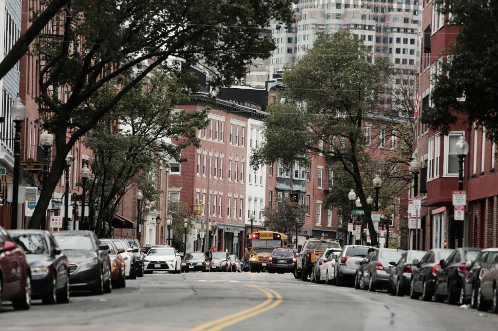 Free Stock Photo of Quiet street scene with trees and parked cars, an ...