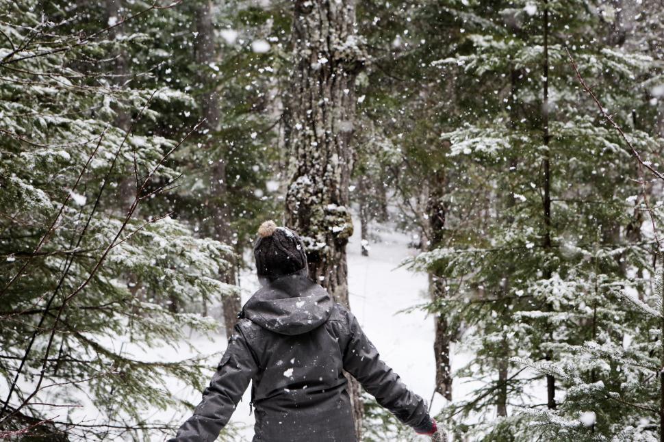 Free Stock Photo of Person in winter clothes enjoying snowfall in a ...