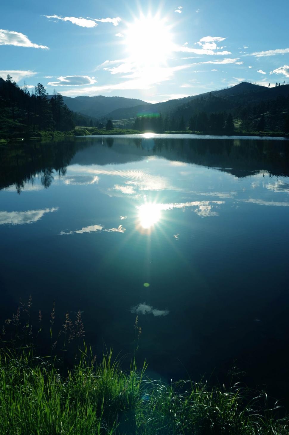 Free Stock Photo of Sun reflection | Download Free Images and Free ...