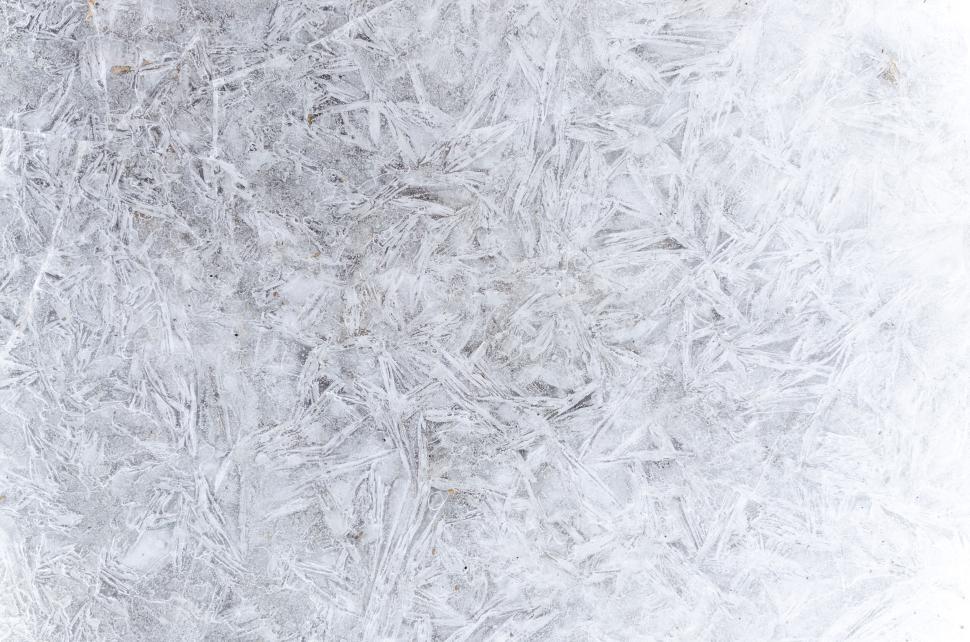 Free Stock Photo of Detailed frosted surface texture with intricate icy ...