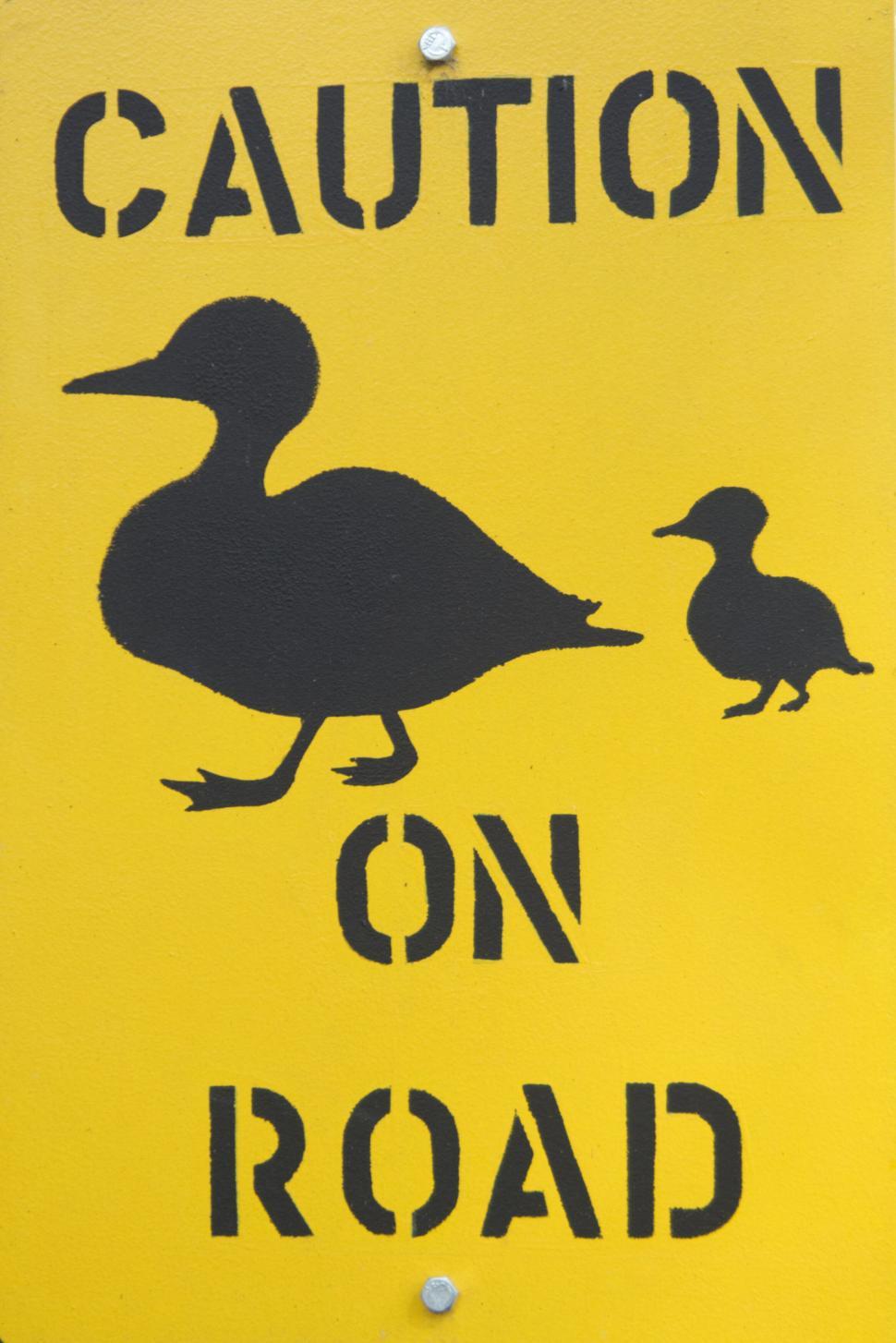 Duck Crossing Road Sign