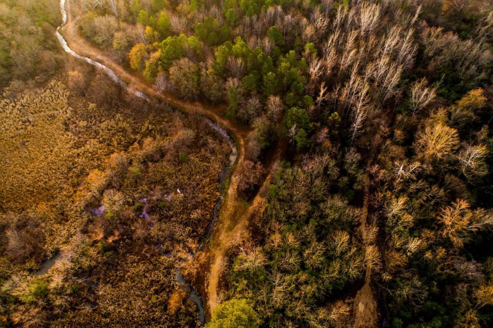 Free Stock Photo of Aerial view of diverse forest in autumn with ...