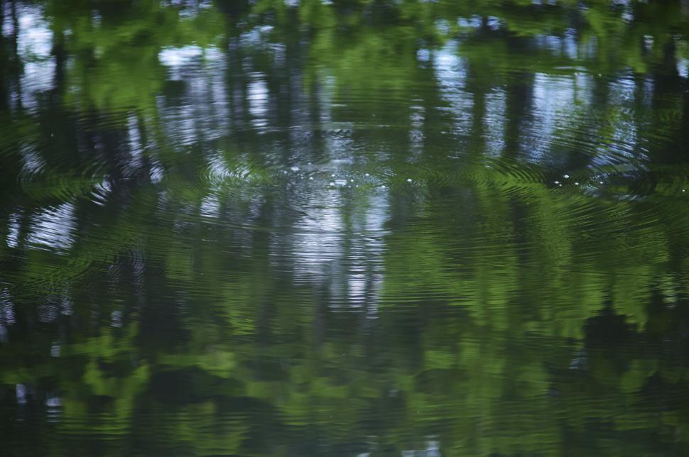 Free Stock Photo of Reflection of trees in calm water with ripples ...