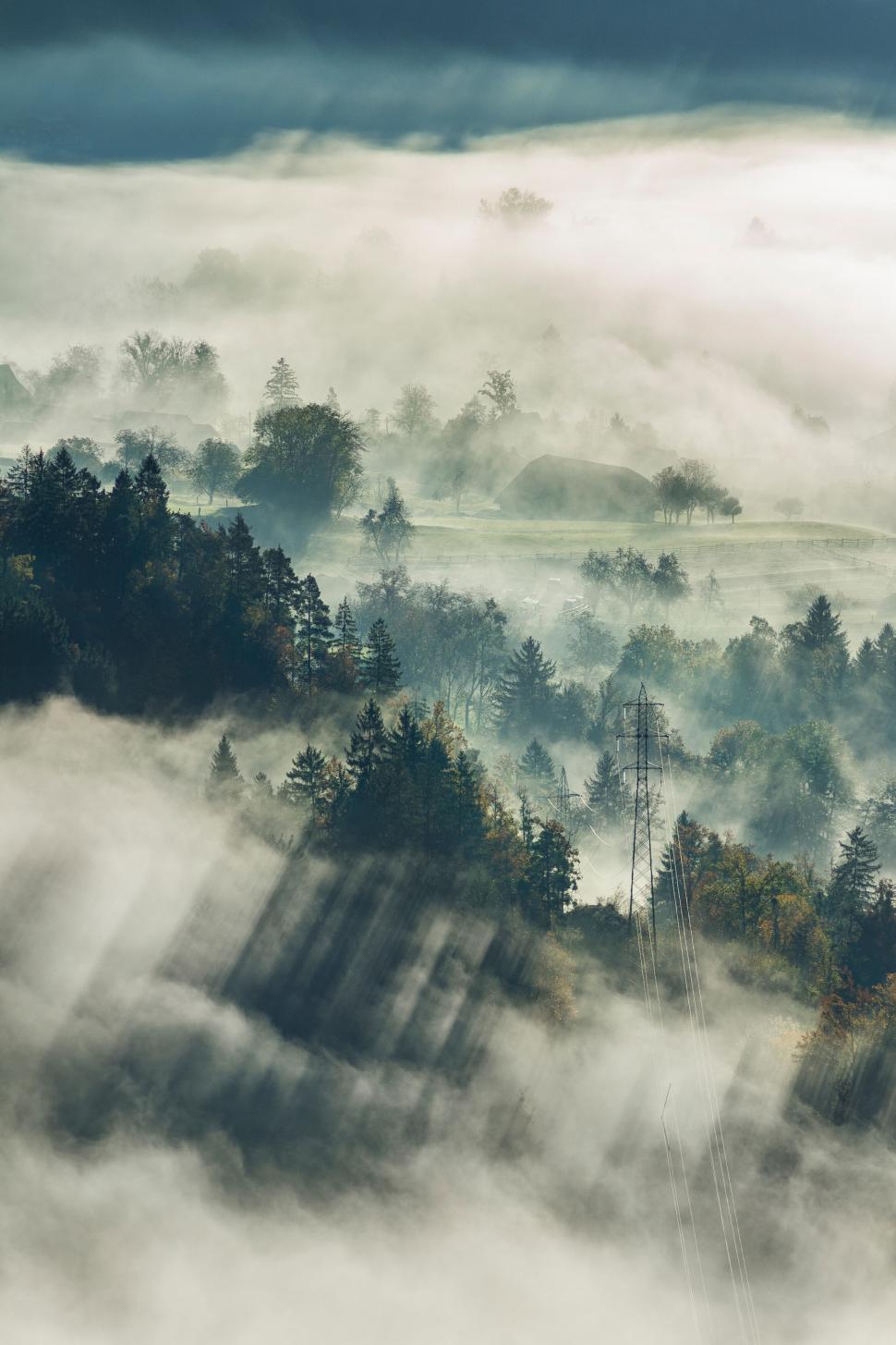 Free Stock Photo of Misty forest landscape with diffused sunlight ...