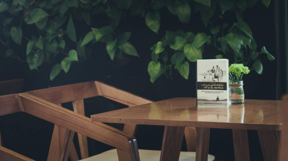 Free Stock Photo of Wooden table with plant in cozy and modern cafe ...