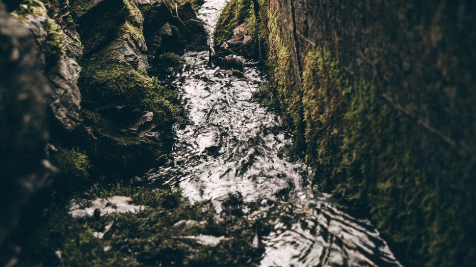Free Stock Photo of Close-up of a mossy stream flowing between rocks ...