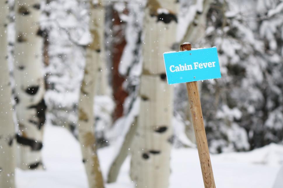 Free Stock Photo of Cabin Fever sign planted in snowy forest landscape ...
