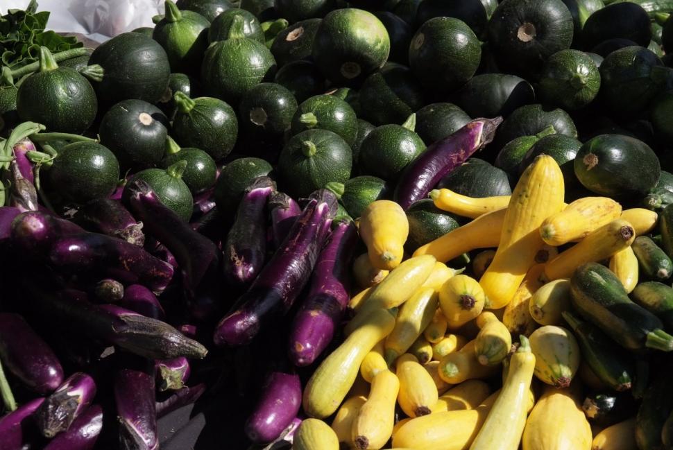 Free Stock Photo of Squash | Download Free Images and Free Illustrations