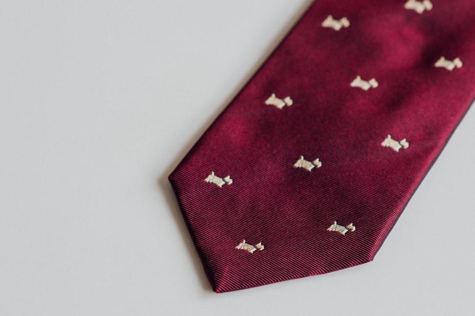 Free Stock Photo of Dark red necktie with dog patterns on white ...