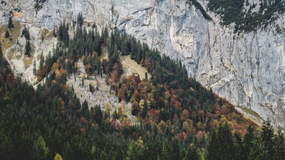 Free Stock Photo of Autumn-colored forest on a mountainside with rocky ...