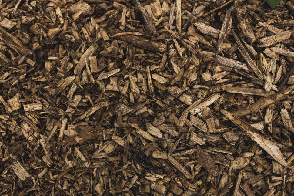 Free Stock Photo of Top view of natural wooden mulch spread on the ...