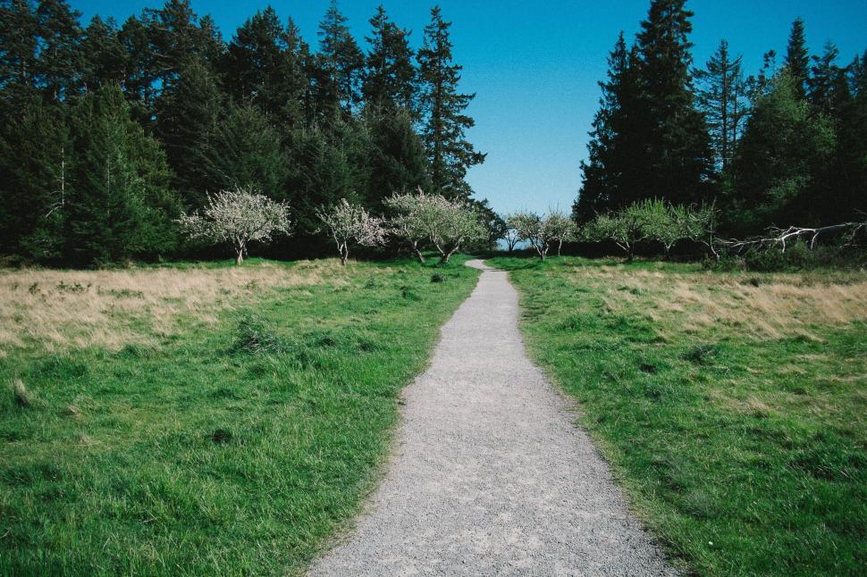 Free Stock Photo of Gravel pathway leading through meadow to distant ...