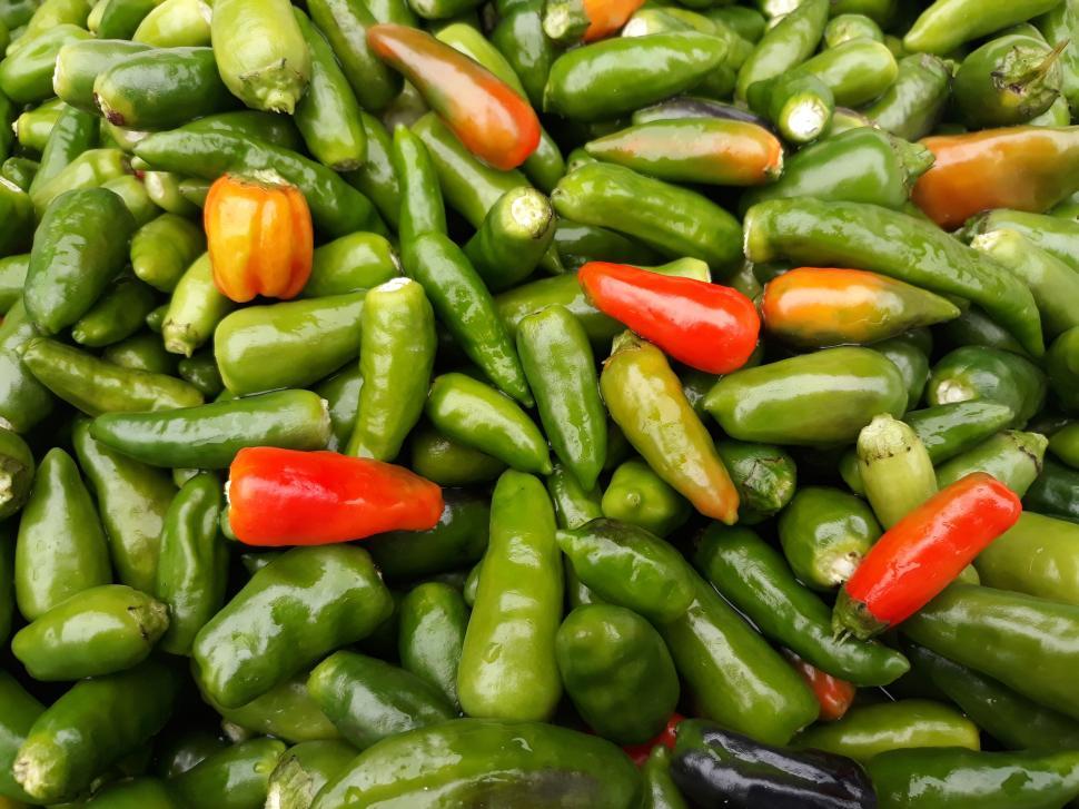 Free Stock Photo of Assorted fresh peppers of various colors and types ...