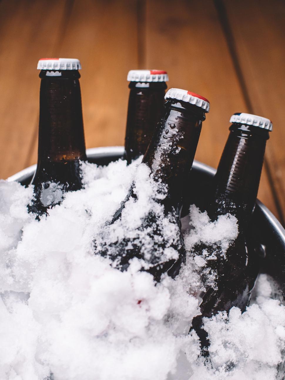 Free Stock Photo of Five bottles of beer with caps, chilled in icy snow ...