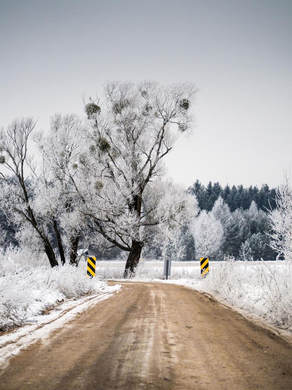 Free Stock Photo of Snow-covered dirt road with leaning trees and ...