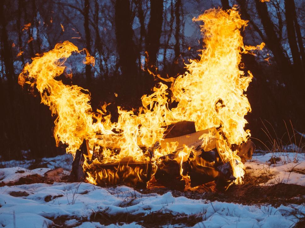 Free Stock Photo of Large bonfire burning brightly in a snowy forest ...