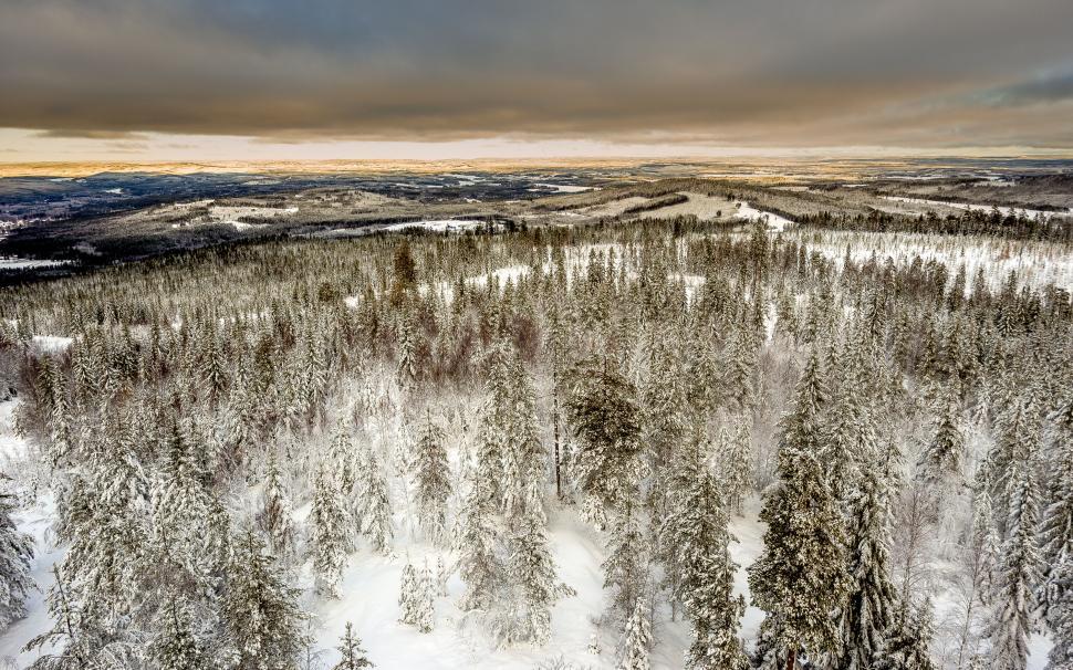 Free Stock Photo of Snow-covered forest with expansive aerial view ...