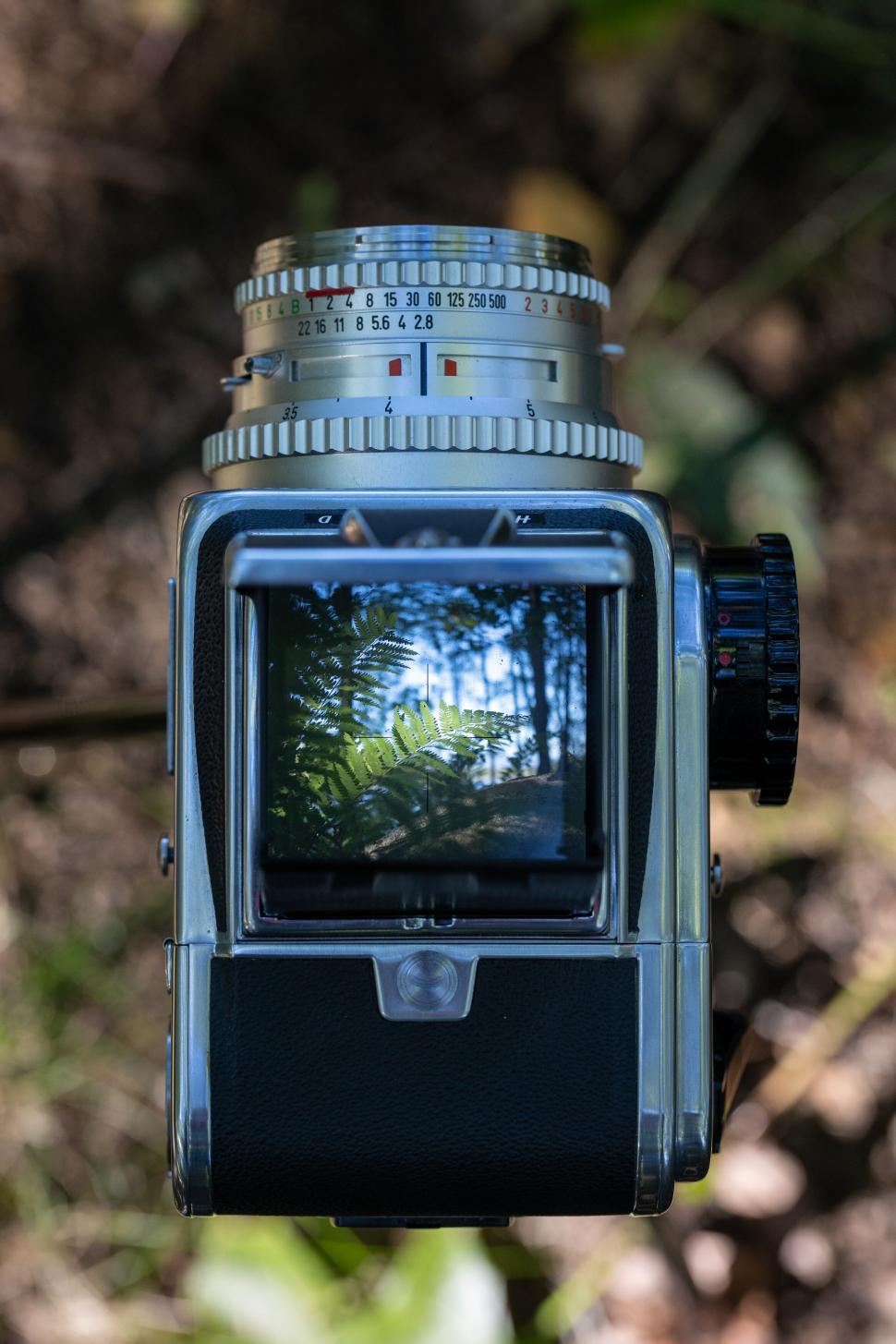 Free Stock Photo of Viewfinder shot of trees seen through vintage ...