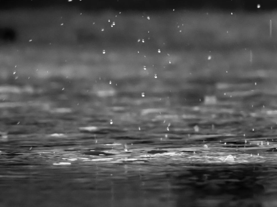 Free Stock Photo of Close-up of raindrops splashing on a calm water ...