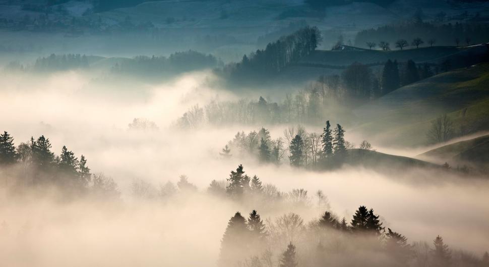 Free Stock Photo of Foggy landscape with trees and hills in soft light ...