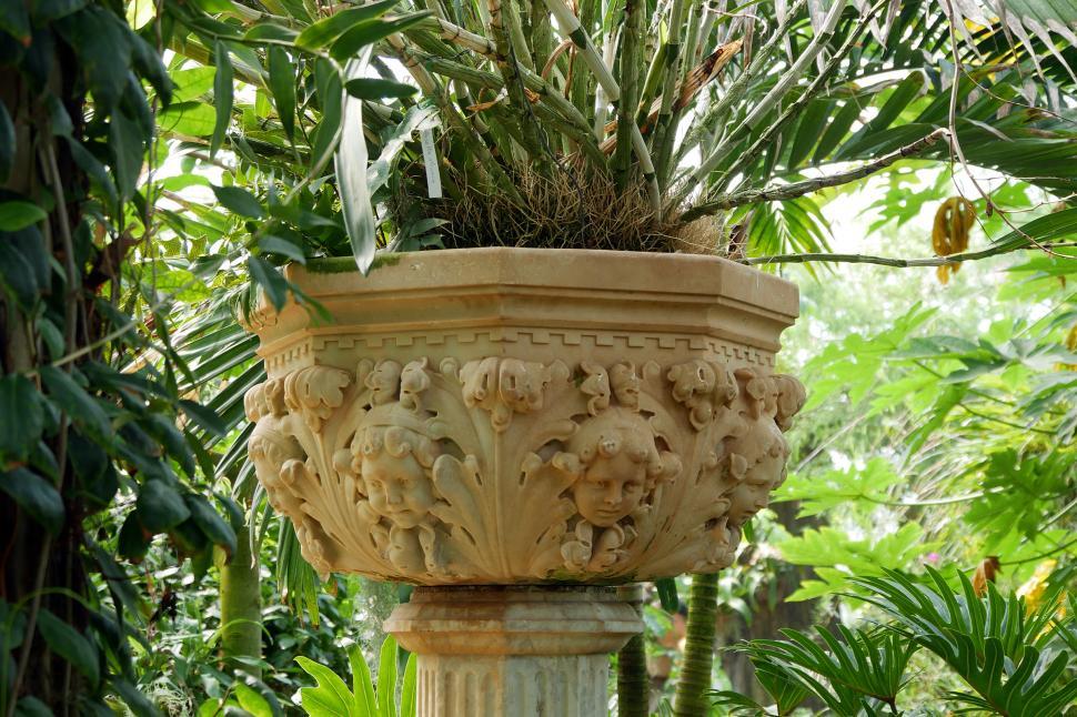 Free Stock Photo of Cherub Stone Urn Planter | Download Free Images and ...