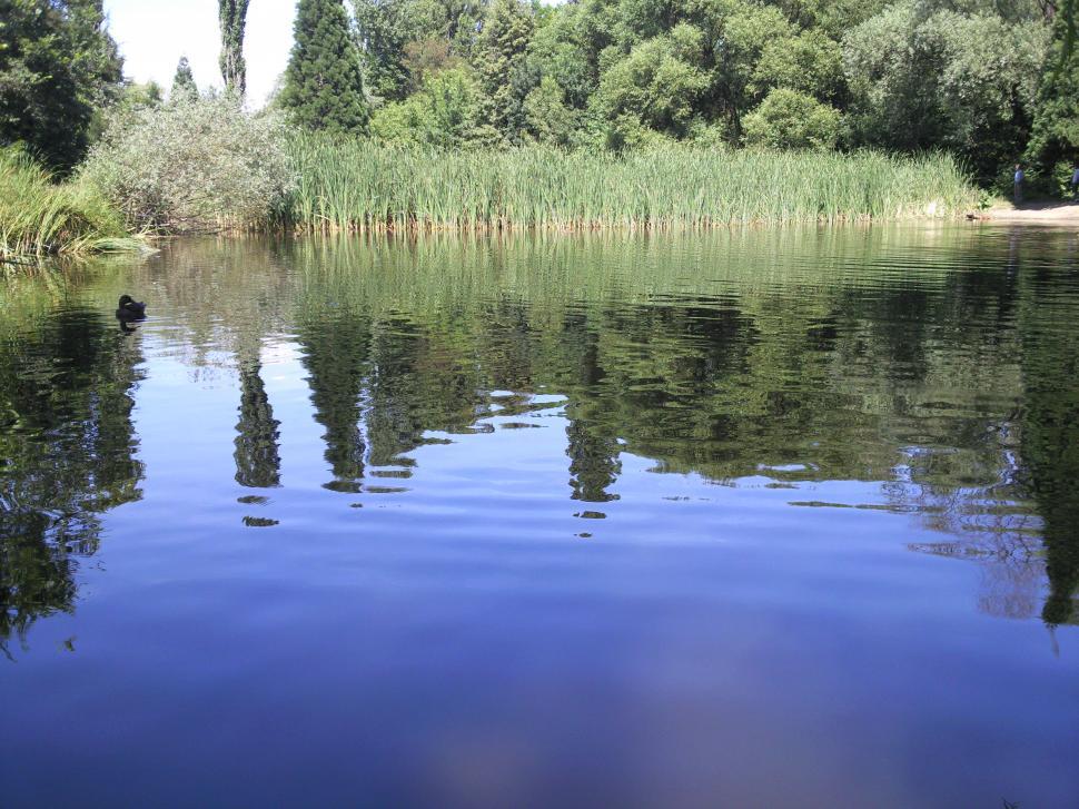 Free Stock Photo of Pond | Download Free Images and Free Illustrations