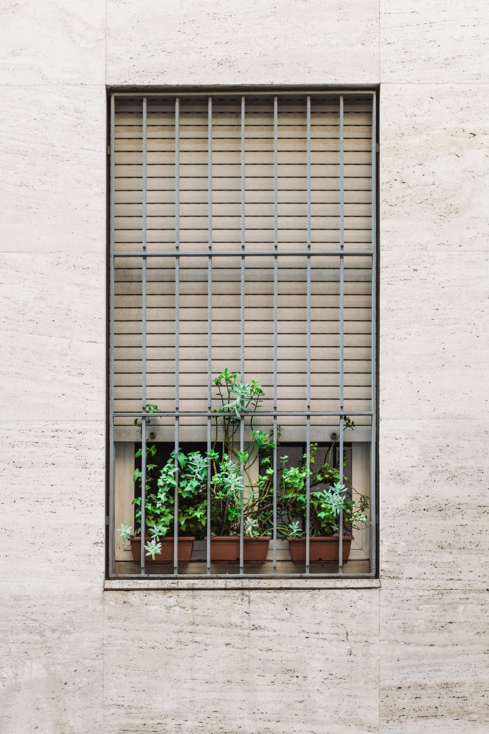 Free Stock Photo of Window with potted plants behind metal bars on a ...