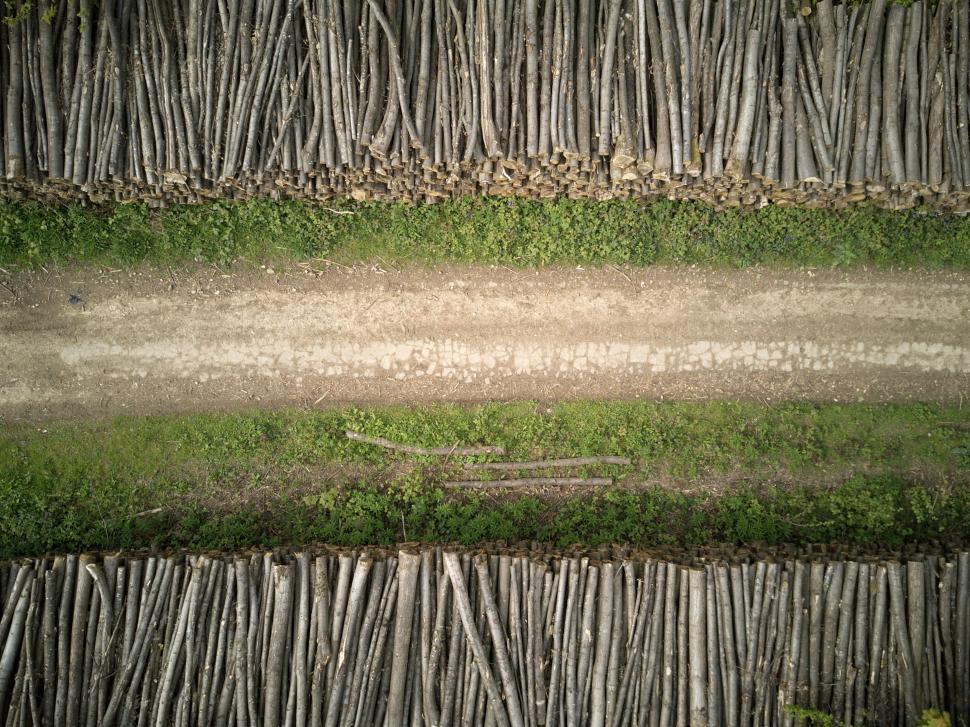 Free Stock Photo of Aerial shot of logs lined along a dirt path ...