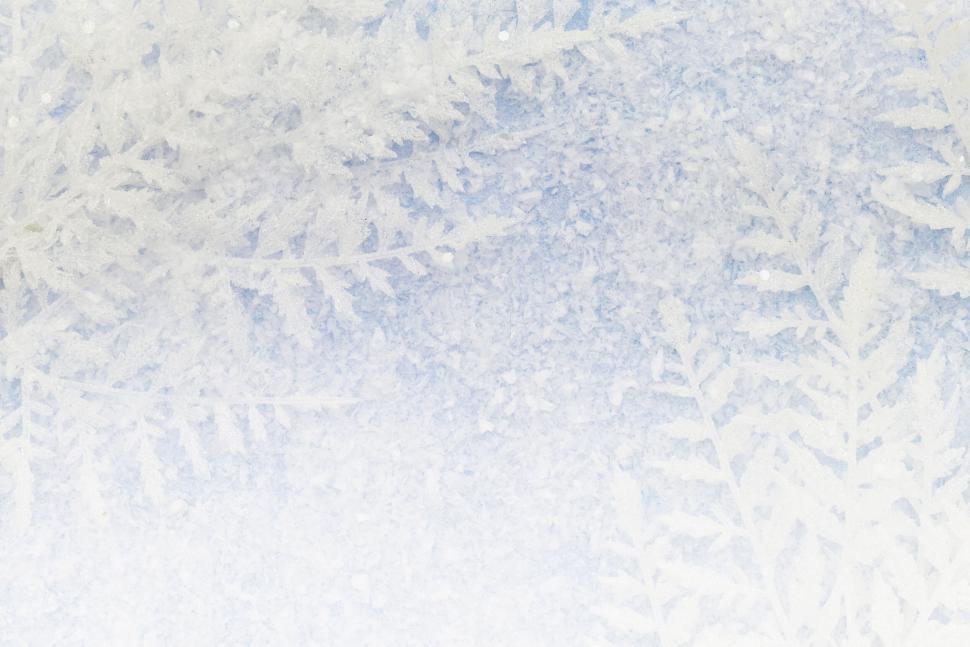 Free Stock Photo of Frosty winter background with ice crystals and ...