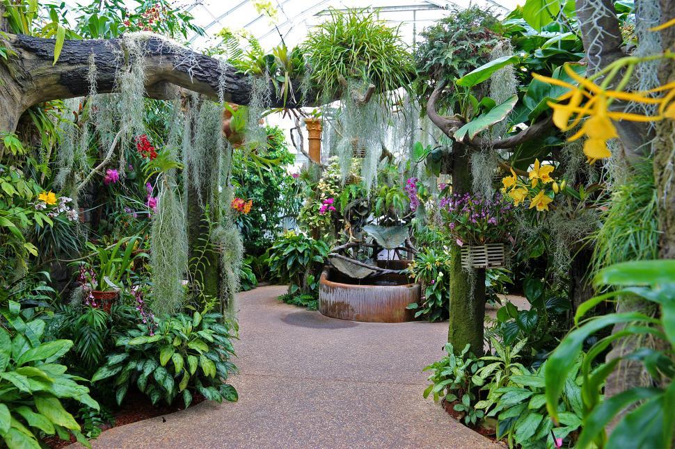 Free Stock Photo of Orchid House | Download Free Images and Free ...
