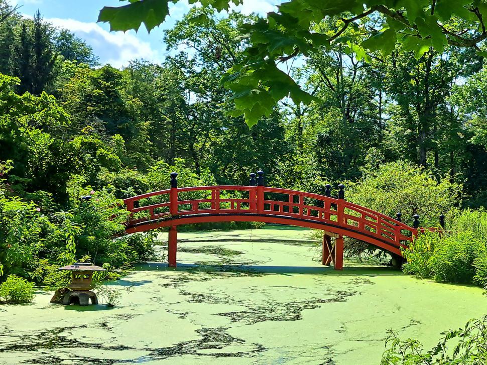 Free Stock Photo of Japanese Style Bridge | Download Free Images and ...