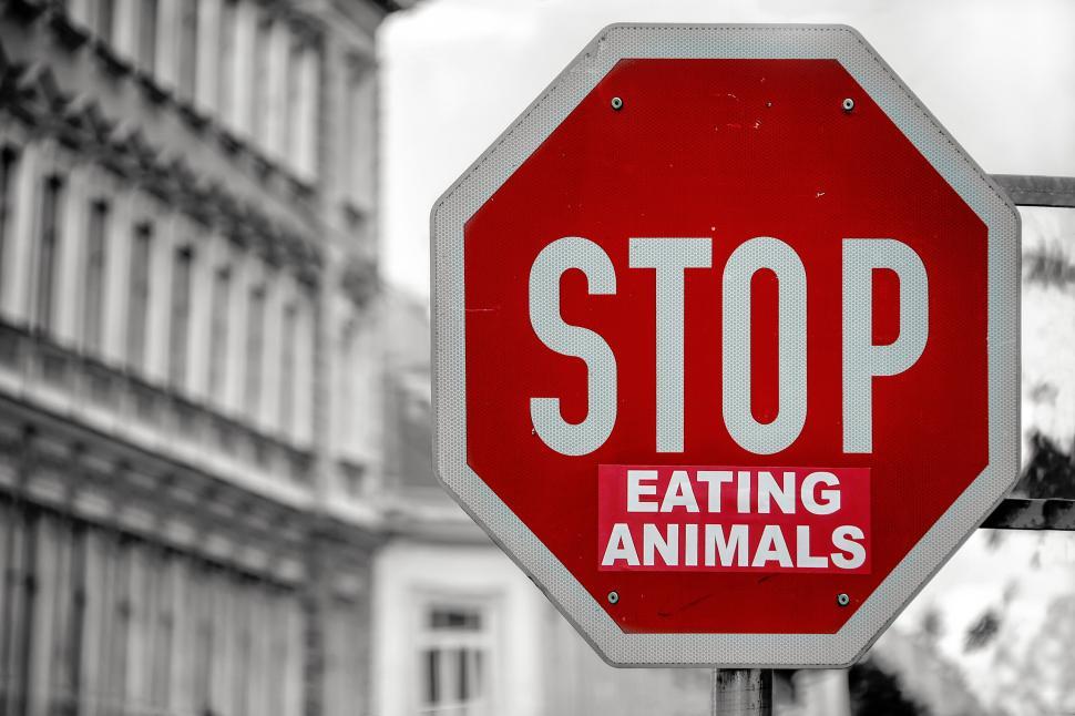 Free Stock Photo of Red stop sign with ‘Stop Eating Animals’ urban ...