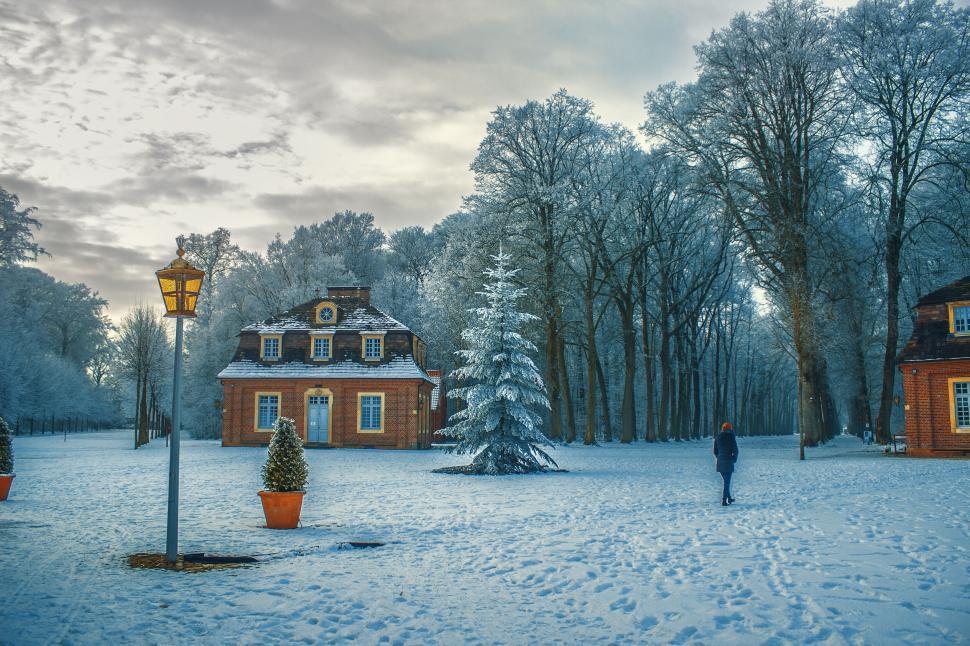Free Stock Photo of Snowy scene with houses and trees in winter dawn ...