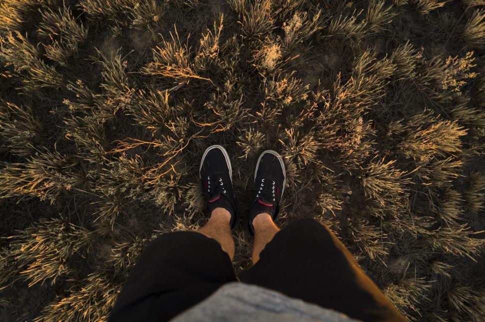 Free Stock Photo of Top-down view of person s feet standing on dry ...