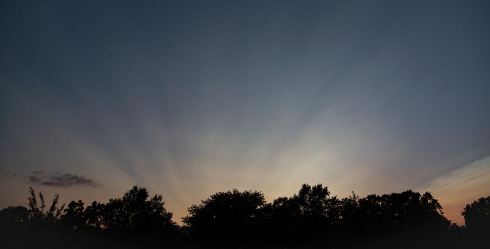 Free Stock Photo of Evening sky with trees silhouetted against fading ...