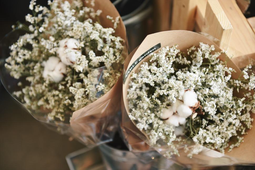 Free Stock Photo of Delicate bouquet of white flowers wrapped elegantly ...