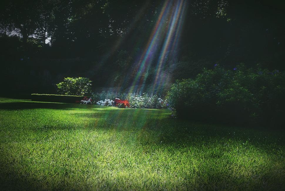 Free Stock Photo of Sunlight filtering through trees onto green garden ...