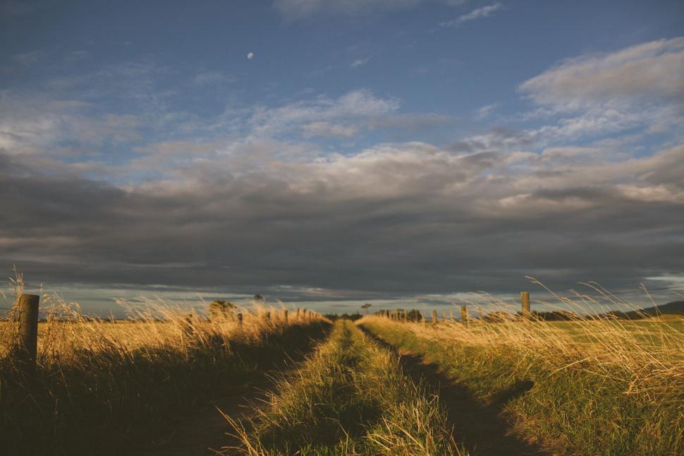 Free Stock Photo of Rural dirt path cutting through tall golden grass ...