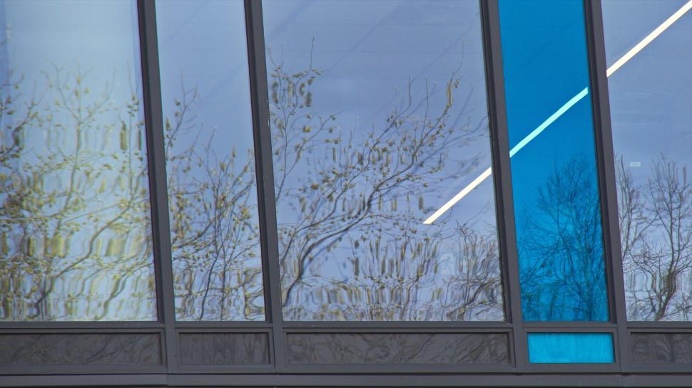 Free Stock Photo of Reflected trees on a modern building glass windows ...
