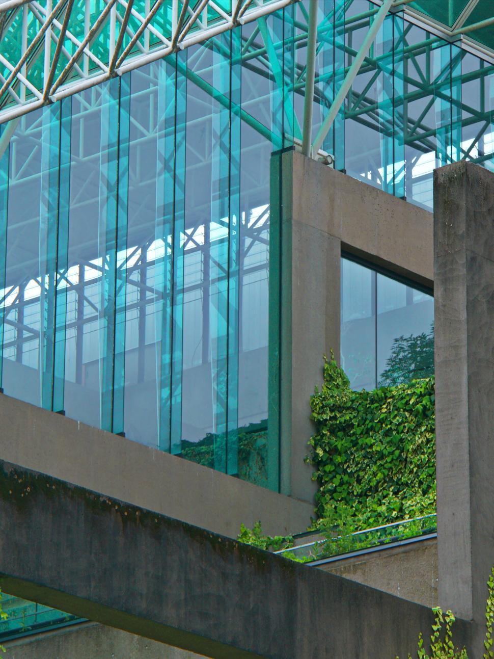 Free Stock Photo of Green glass atrium with vines, modern meets nature ...