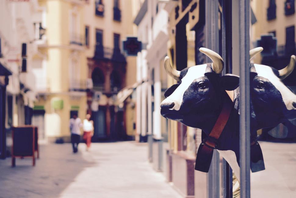 Free Stock Photo of Cow sculptures adorn a quaint, sunlit European ...
