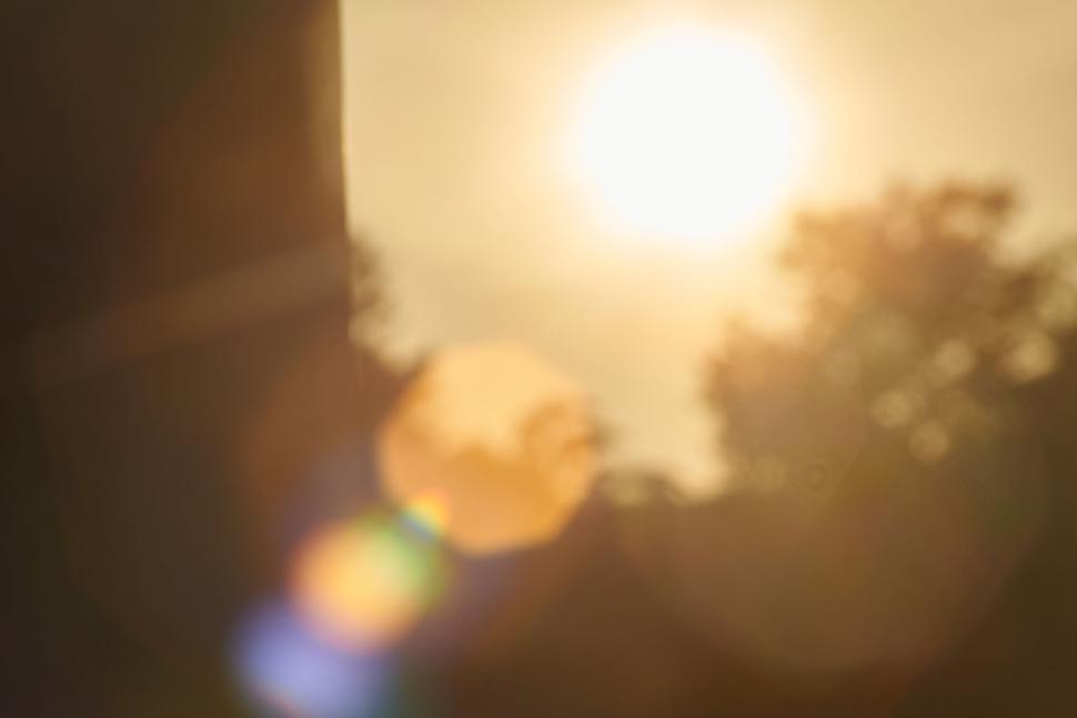 Free Stock Photo of Bright sunlight through trees creating lens flare ...