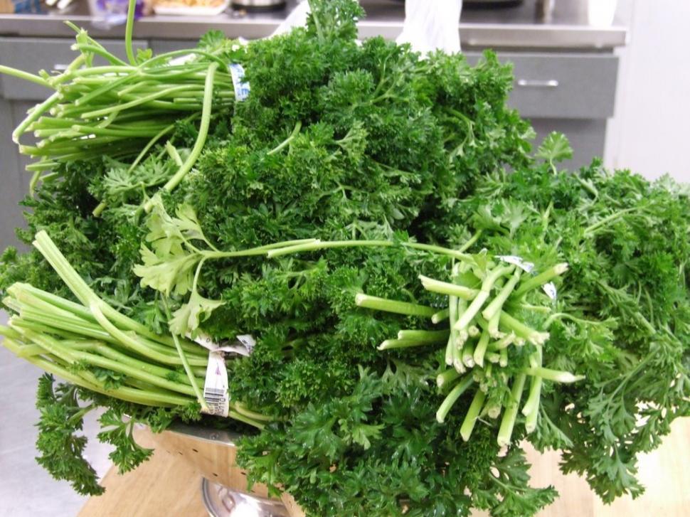 Free Stock Photo of Fresh Parsley | Download Free Images and Free ...