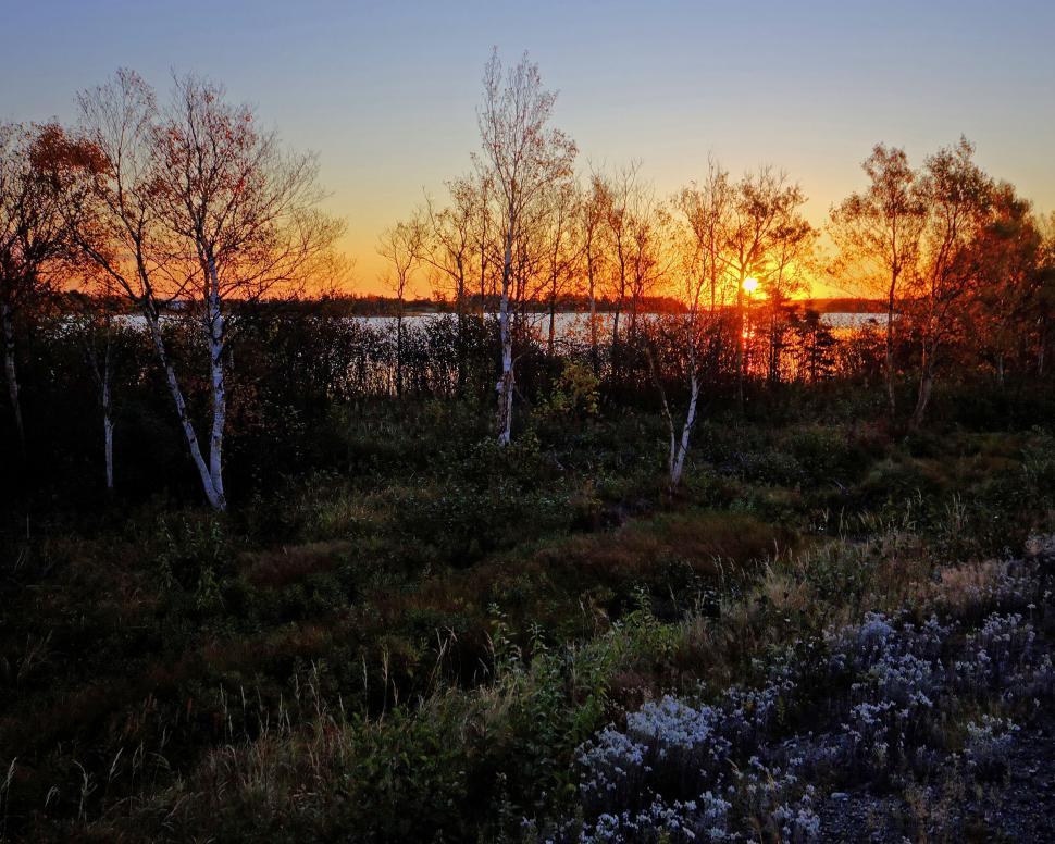 Free Stock Photo of Autumn Morning | Download Free Images and Free ...