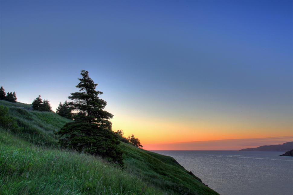 Free Stock Photo of Tree | Download Free Images and Free Illustrations