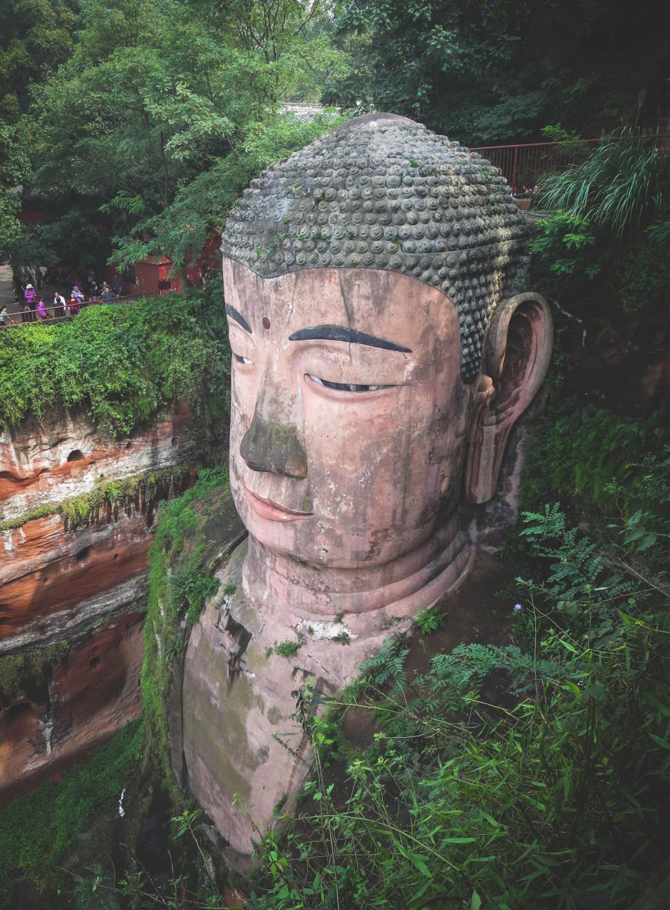 Free Stock Photo of Large stone Buddha statue surrounded by lush ...
